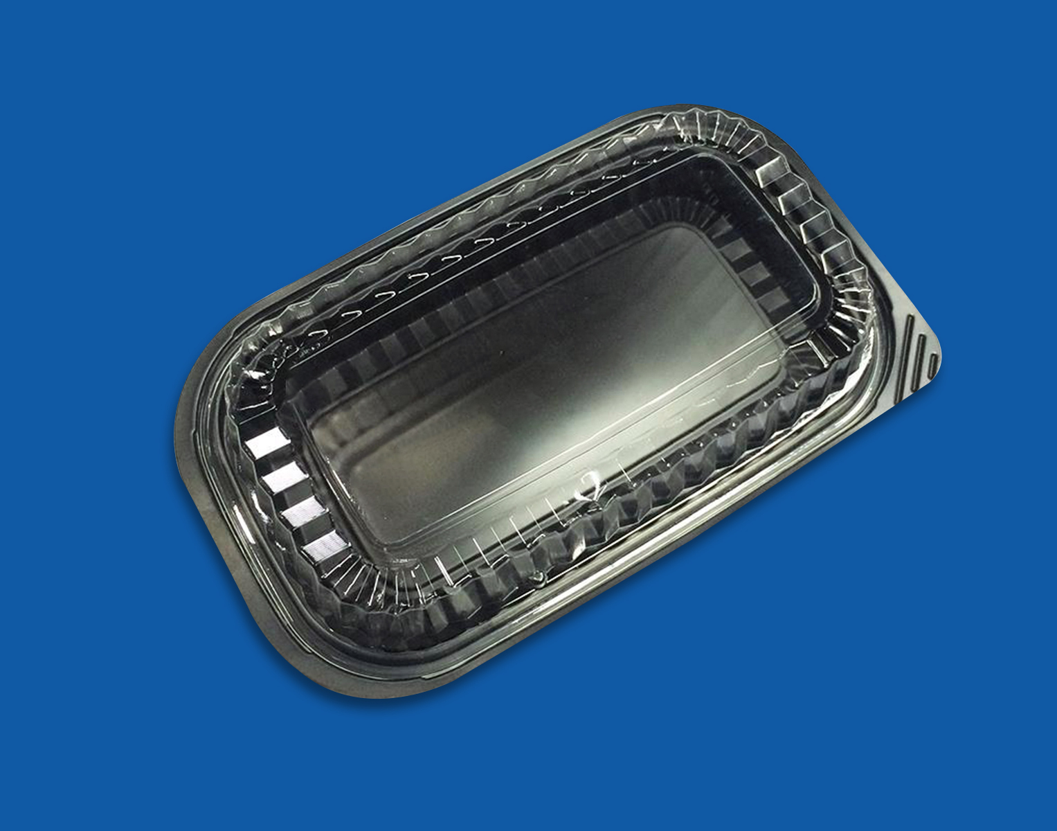 Hộp nhựa HT17 – Công ty TNHH Nhựa Đức Anh